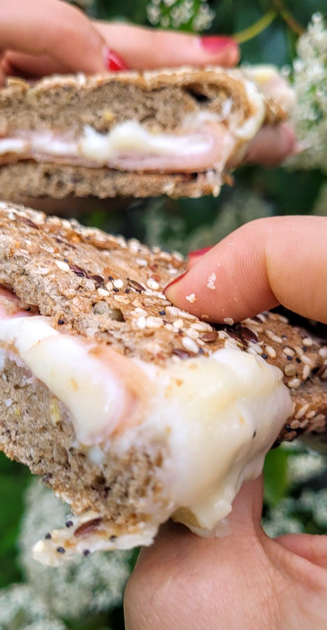 Bocata de jamón y queso al grill delicioso